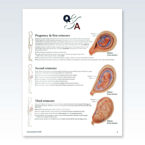 Understanding Womens Health Flip Chart | ClinicalPosters
